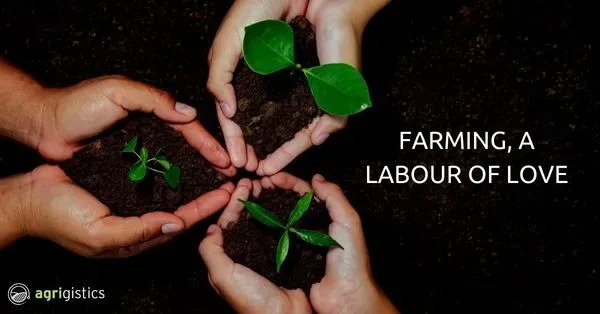 Farming, a labour of love In South Africa | Agrigistics